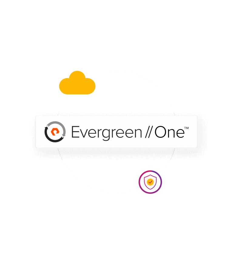 Evergreen//One: El almacenamiento como servicio para la nube pública y ...